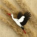 Brooch Stork Made of Natural Wood With Epoxy Resin Symbol of Belarus - Etsy