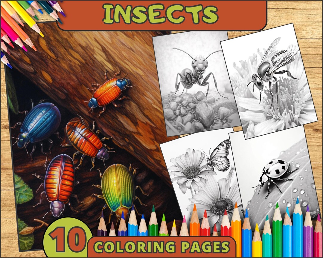 Insects Coloring Pages, Insect Coloring Sheets, Insect Coloring Book ...