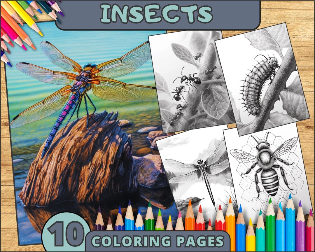Insects Coloring Pages Insect Coloring Sheets Insect - Etsy