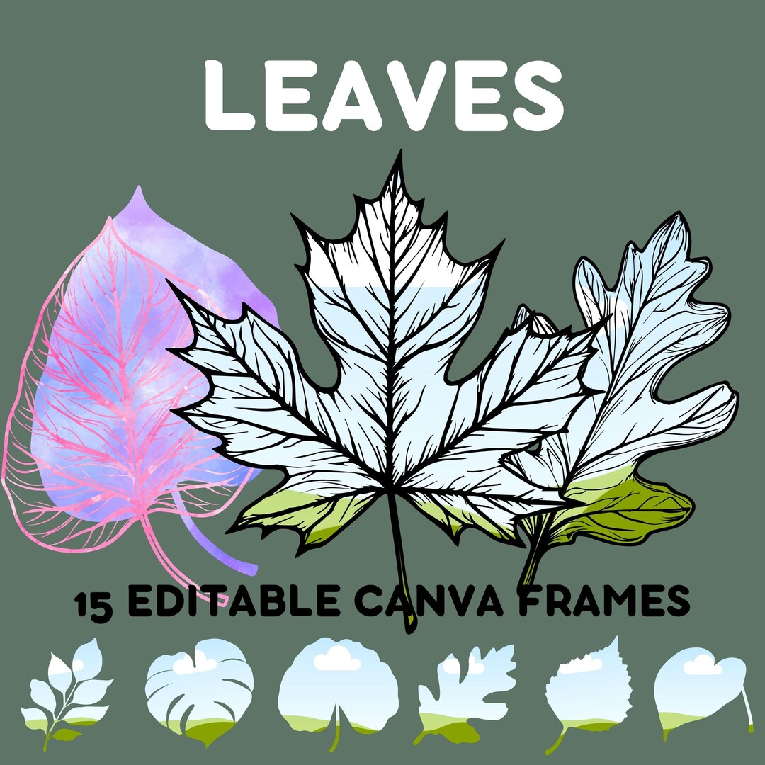 Fall Canva Frame Leaf, Leaves Clipart Canva Template, Monstera Pothos ...