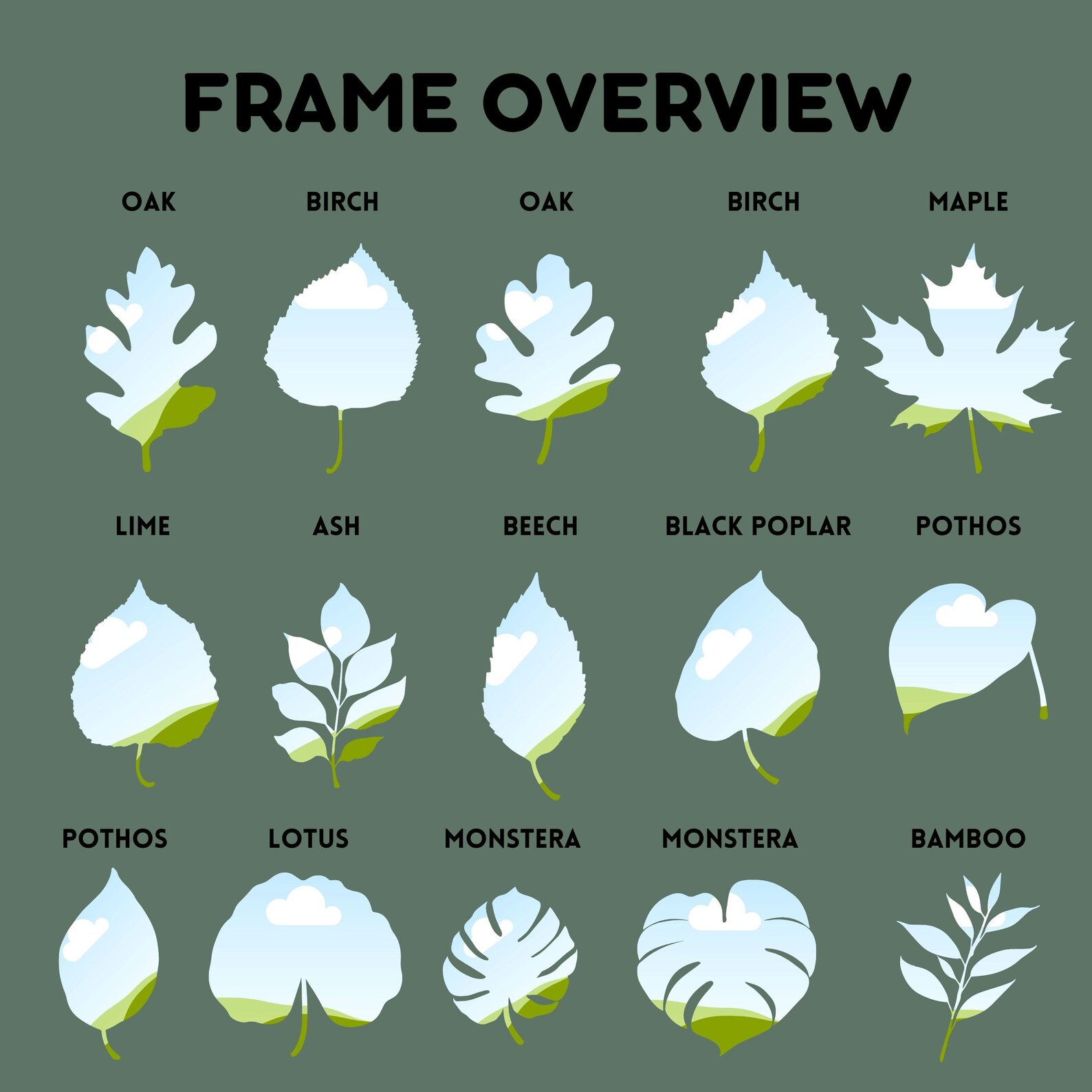 Fall Canva Frame Leaf, Leaves Clipart Canva Template, Monstera Pothos ...