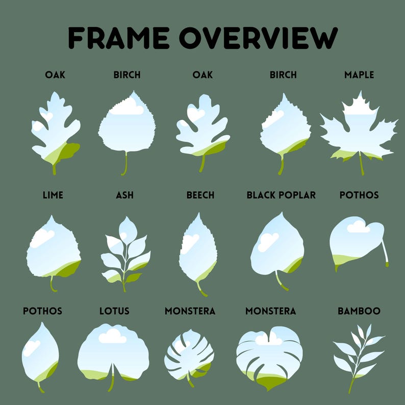 Fall Canva Frame Leaf, Leaves Clipart Canva Template, Monstera Pothos ...