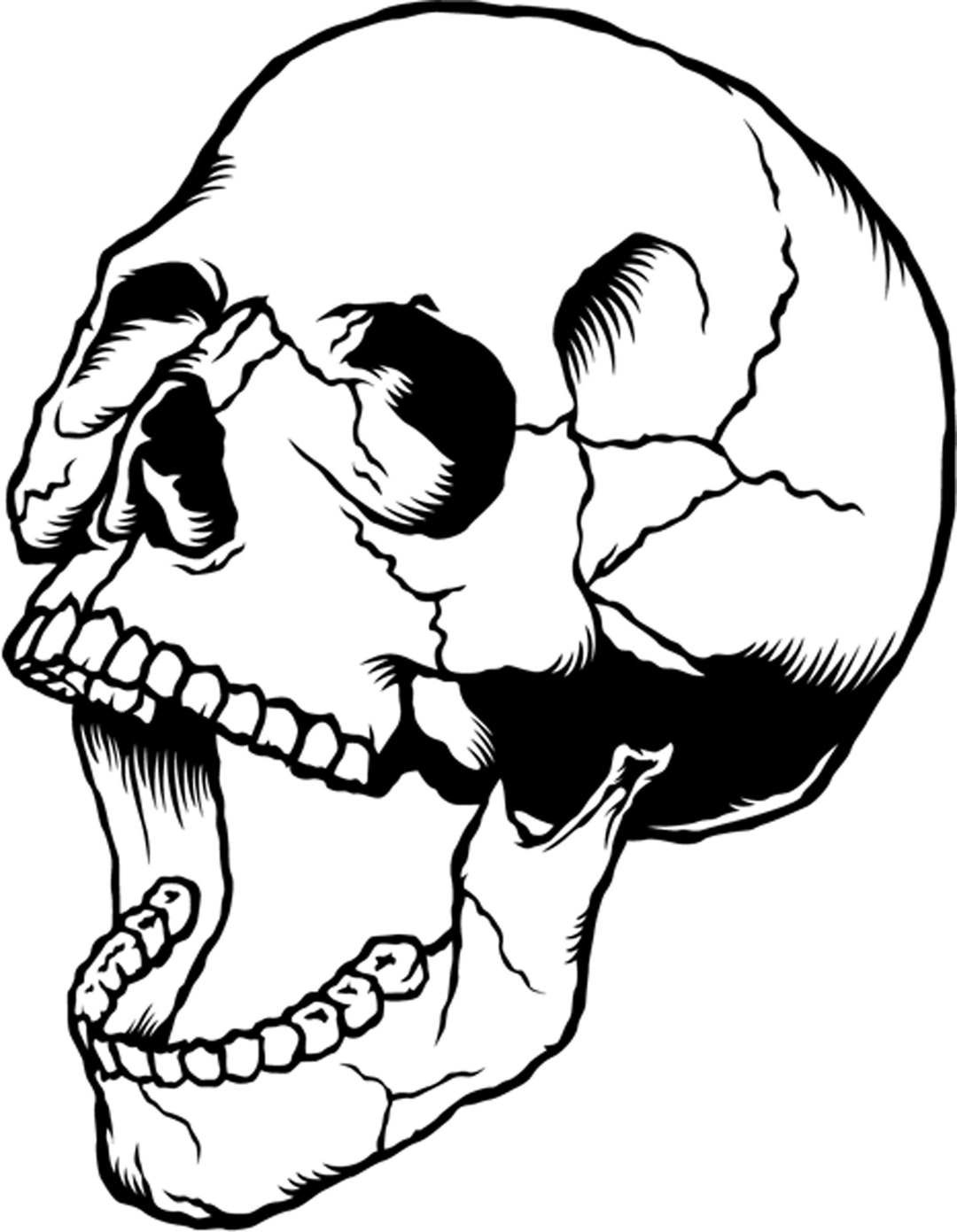 Jabber, Skull, Tattoo, Horror, Punk, Moster, Low Brow, Heavy Metal ...