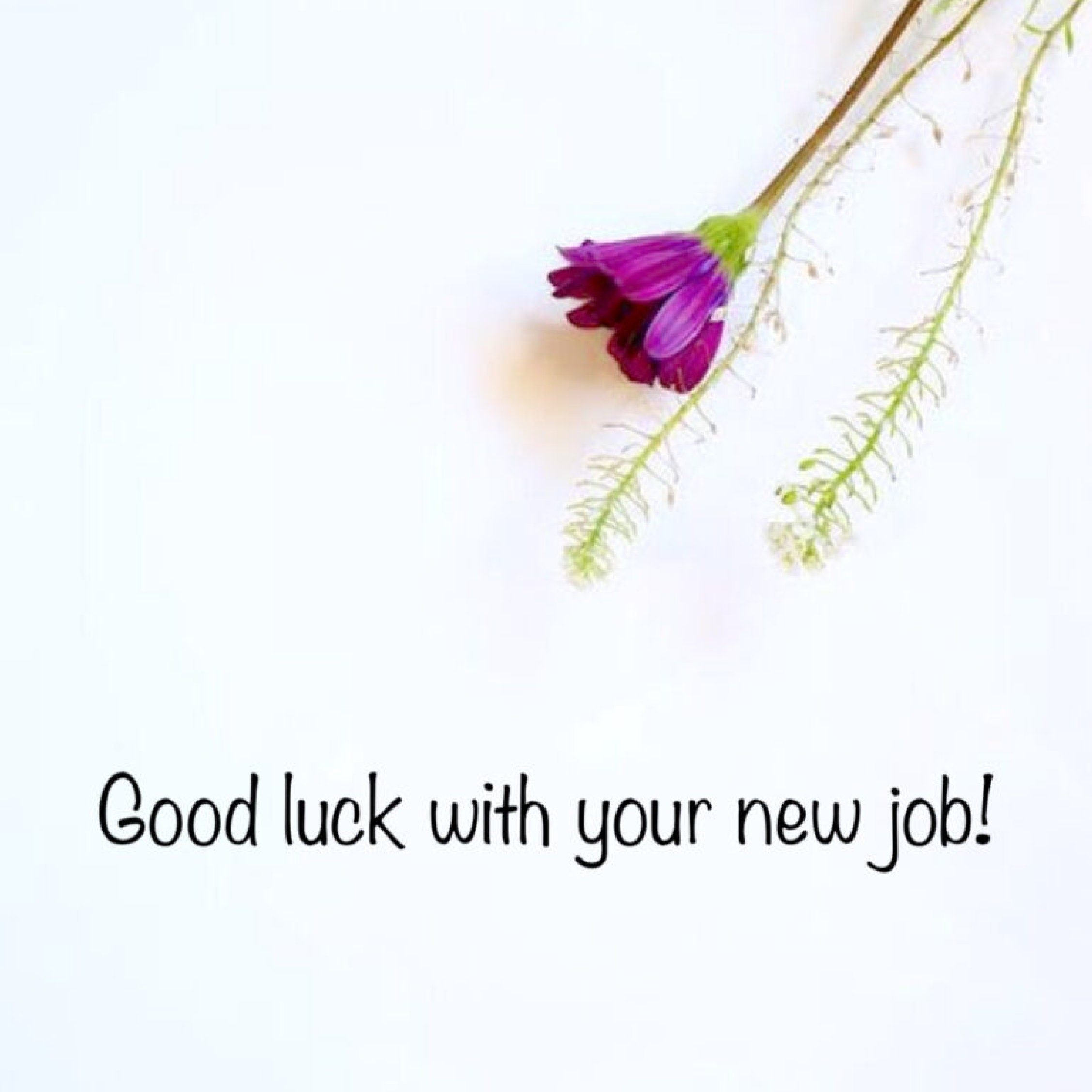 CV Template Modern, Photo Creative CV, CV Templat, Cv Template Word, Cv ...