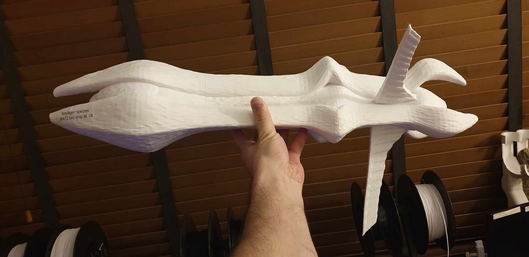 Voyager's Species 8472 Bio-ship - Etsy