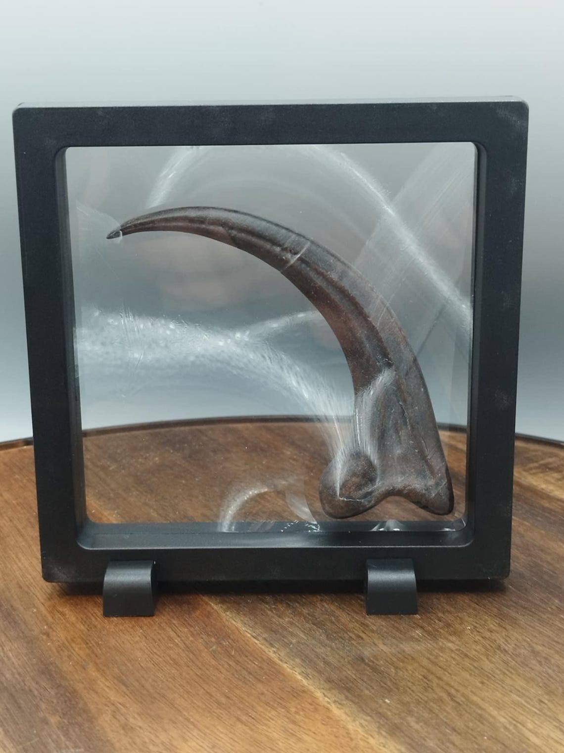 1:1 Scale Replica Velociraptor Claw From Jurassic Park - Etsy