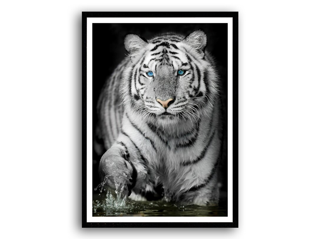 Snow Tiger Portrait Printable Download, White Tiger Wall Art, Animal ...