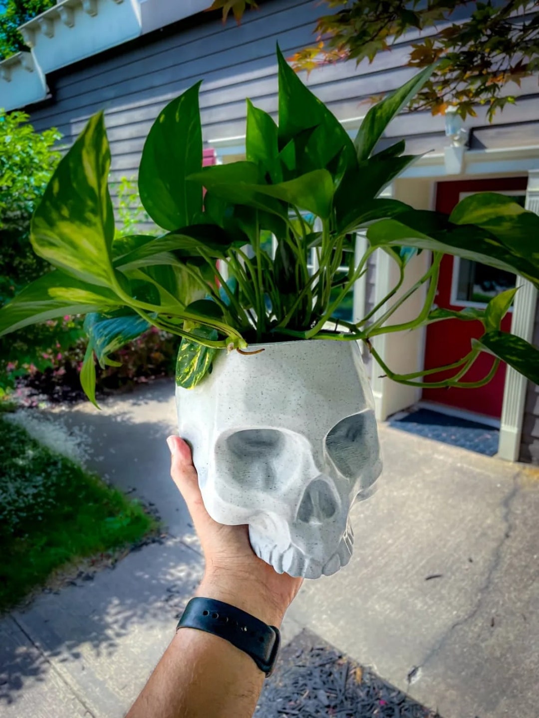 3D Skull Planter Stl File 3D Printer Files 3D Print File Planter STL ...