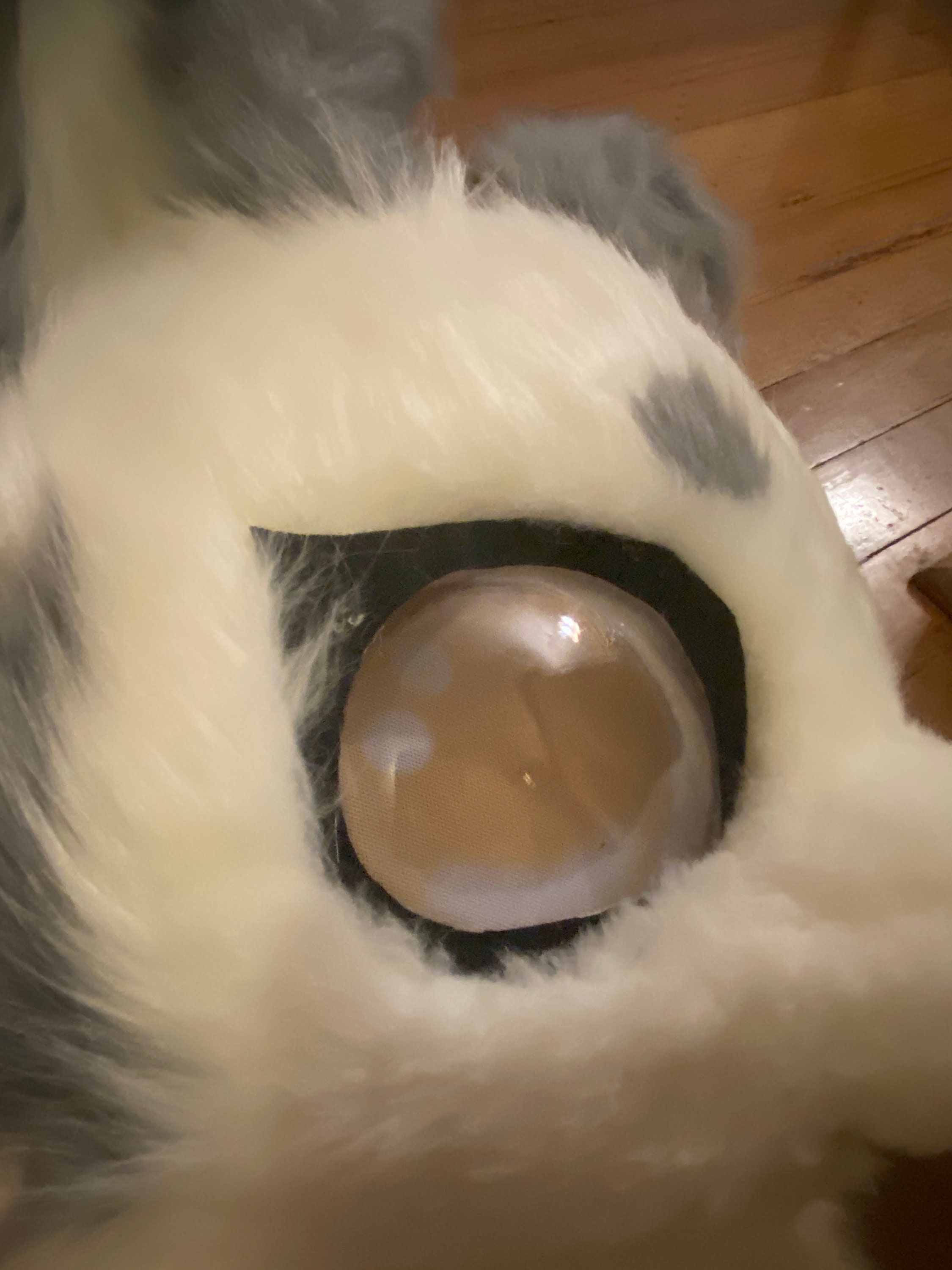 Kemono Furry Fursuit Partial Set Head Paws Eyelids & Tail - Etsy Canada