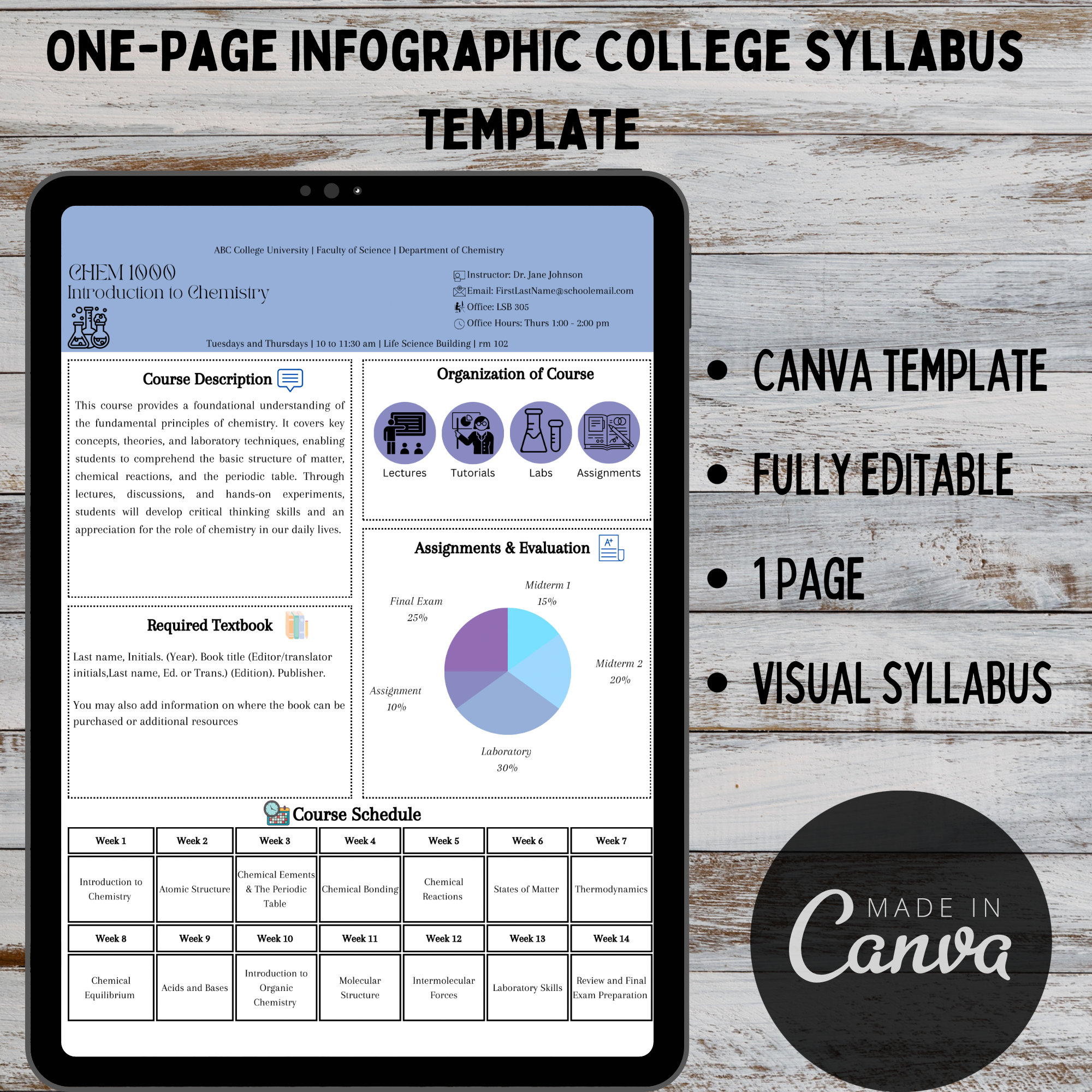 Infographic Syllabus