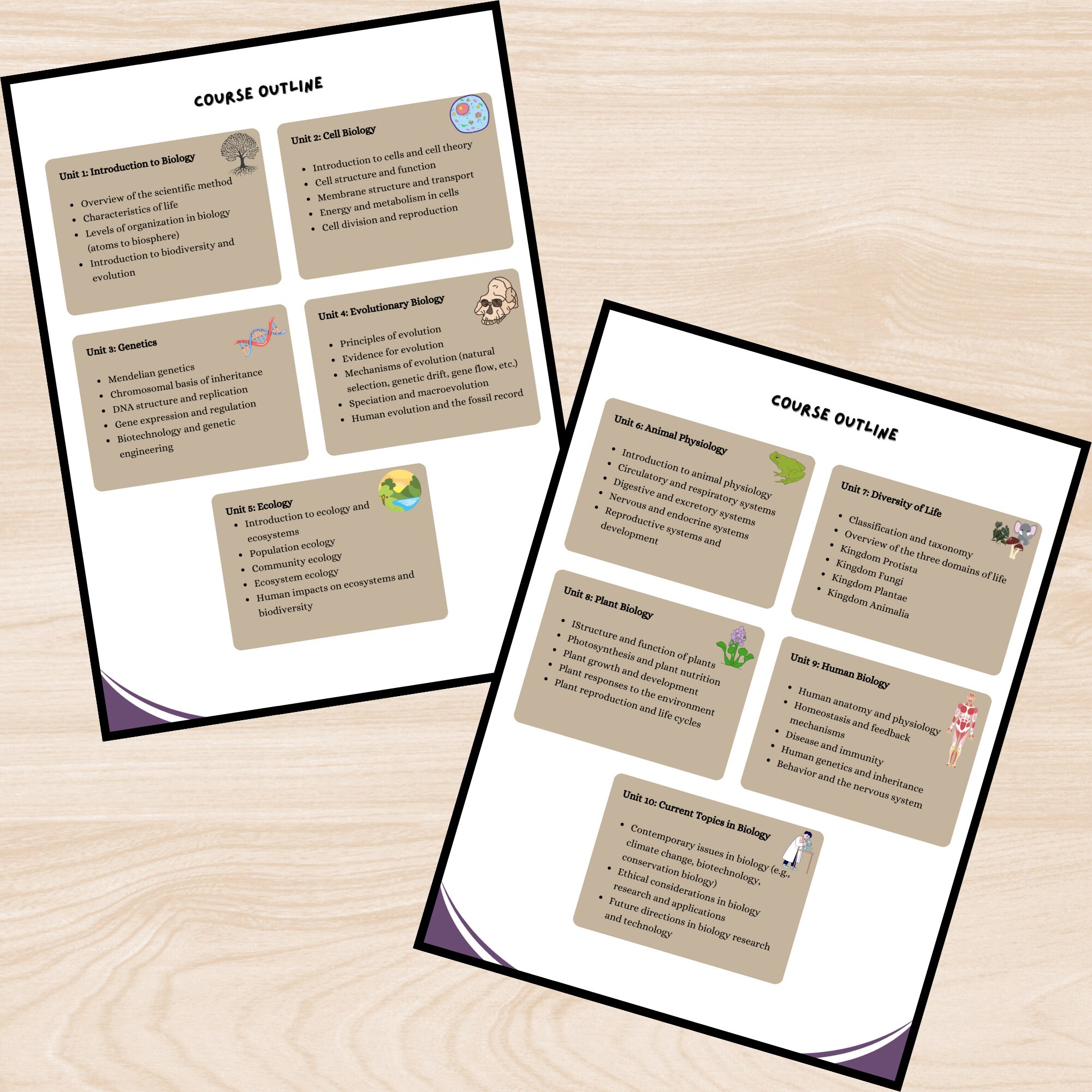 Biology Syllabus Template V1 Fully Editable Canva Template Back to ...