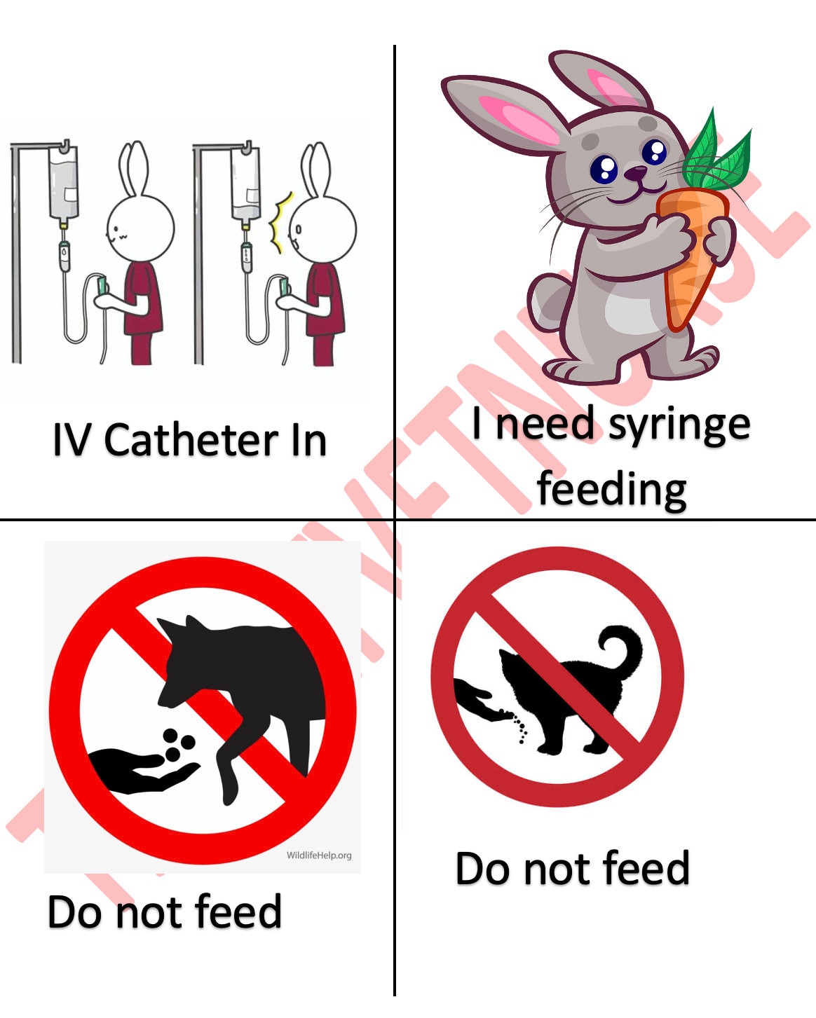 Veterinary Kennel Signs - Etsy