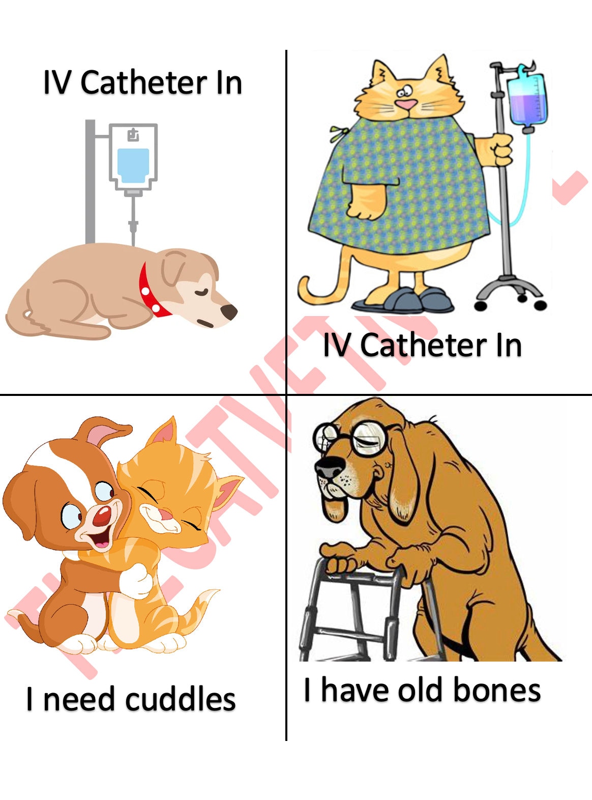 Veterinary Kennel Signs - Etsy