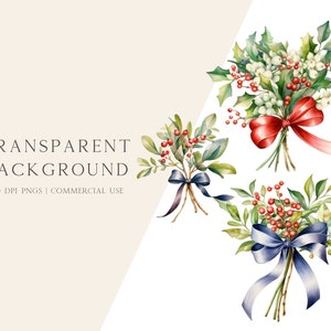 Mistletoe Clipart | Christmas Clipart | Christmas Mistletoe PNG ...