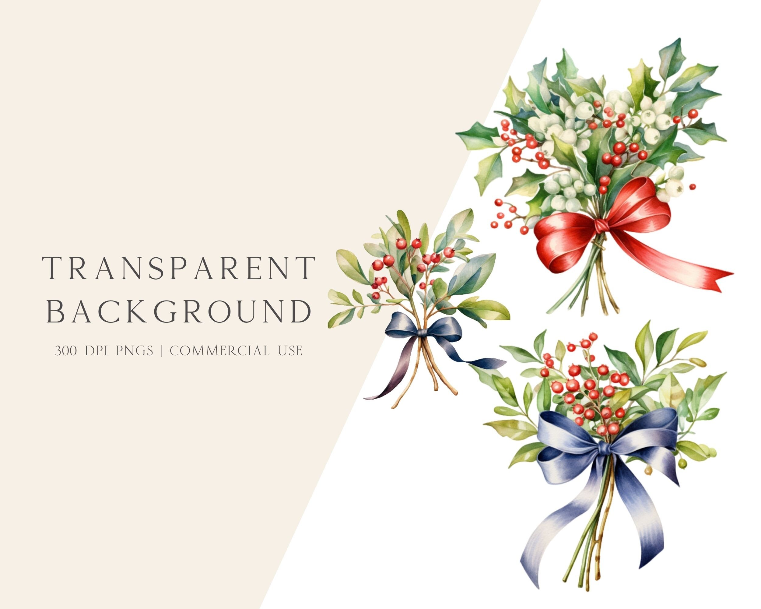 Mistletoe Clipart | Christmas Clipart | Christmas Mistletoe PNG ...