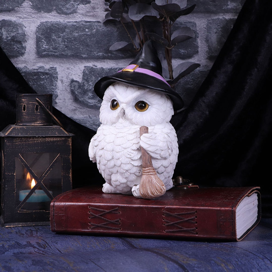 Enchanted Elegance: Snowy Magic Witch Owl Familiar Figurine - Etsy