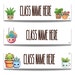 Succulents Google Classroom Headers and Canvas Banner-canva TEMPLATE - Etsy
