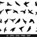 Flying Bird SVG Bundle: Sparrow Silhouette Clipart (digital Download ...