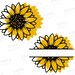 Sunflower Svg Bundle, Split Sunflower Svg, Digital Download Sunflower ...