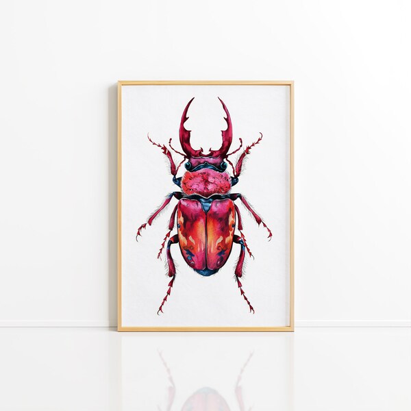 Bug Art Print - Etsy