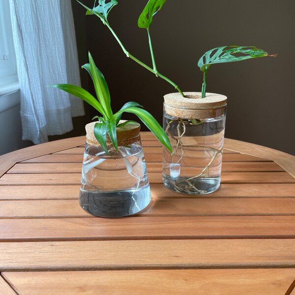 Glass Propagation - Etsy