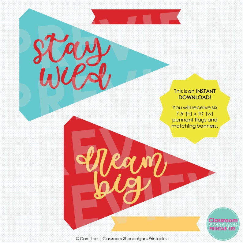 Printable Pennant Banners for Boys | Printable Pennant Flag | Kids ...