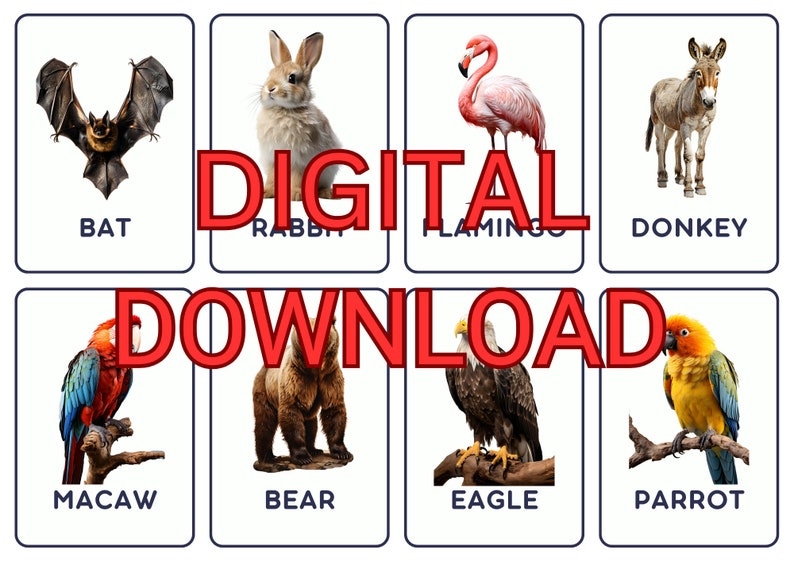 24 Zoo Animals Flashcard Cards, Montessori Flash Cards, Pre-school ...