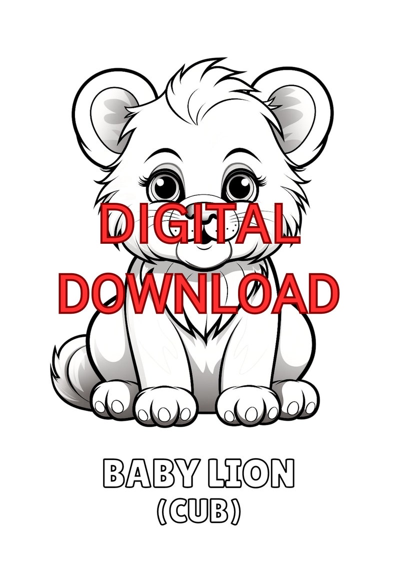 24 Zoo Animals Flashcard Cards, Montessori Flash Cards, Pre-school ...