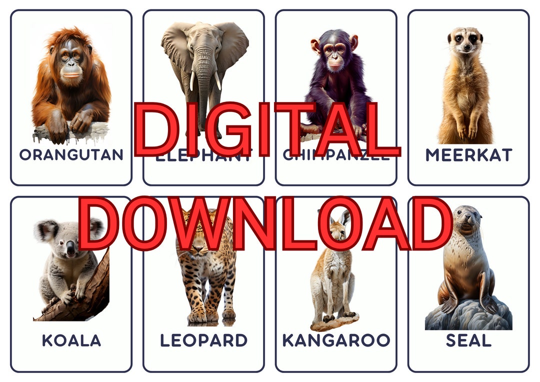 24 Zoo Animals Flashcard Cards, Montessori Flash Cards, Pre-school ...