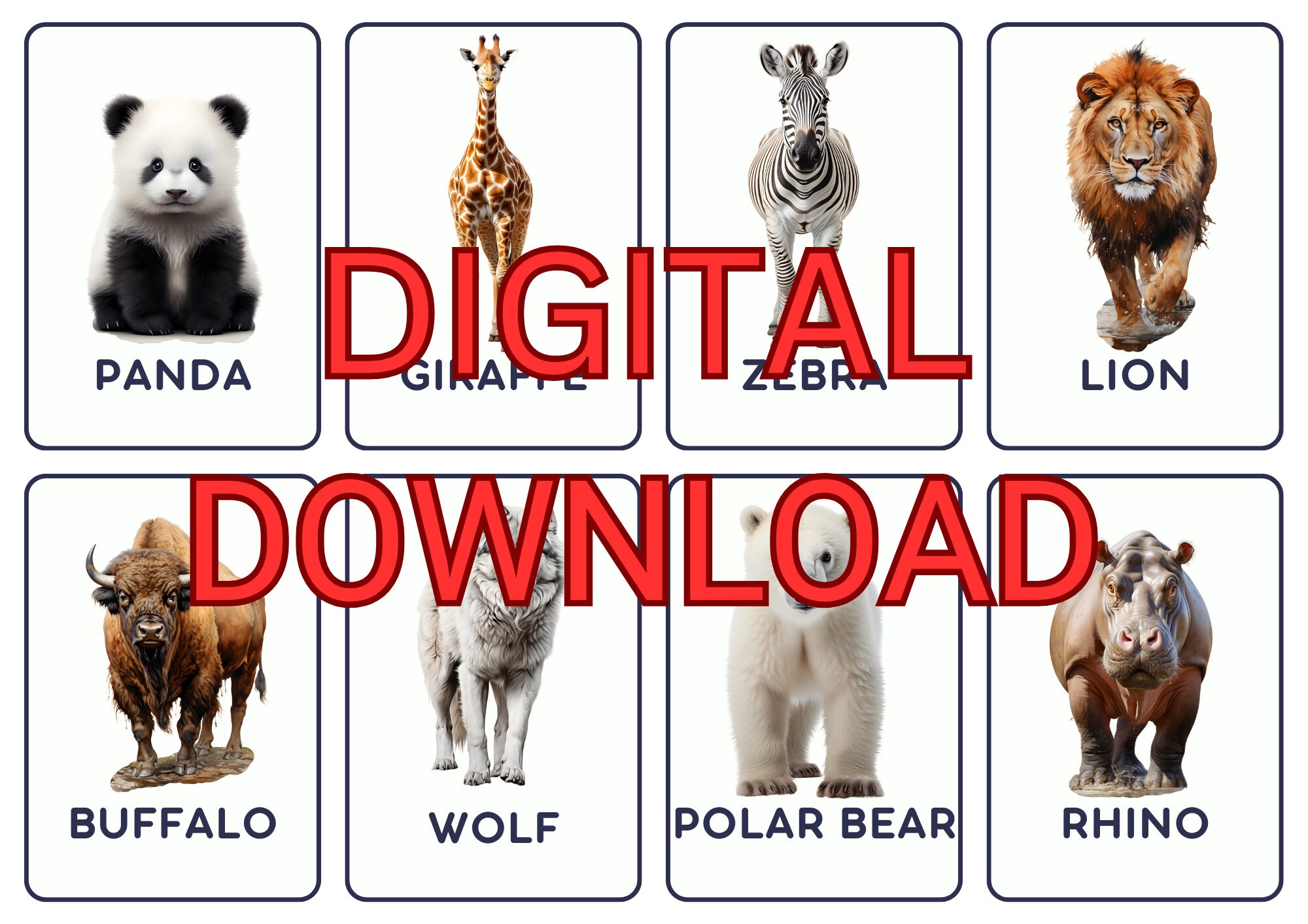 24 Zoo Animals Flashcard Cards, Montessori Flash Cards, Pre-school ...