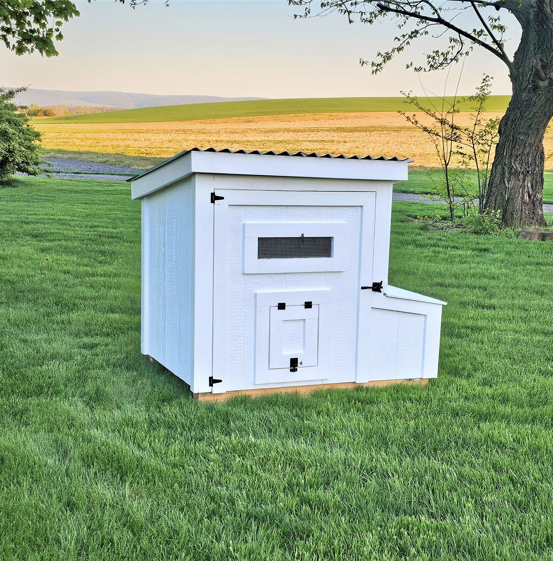How to Build A Chicken Coop for 3-5 Chickens / Diy / Step by Step Guide ...