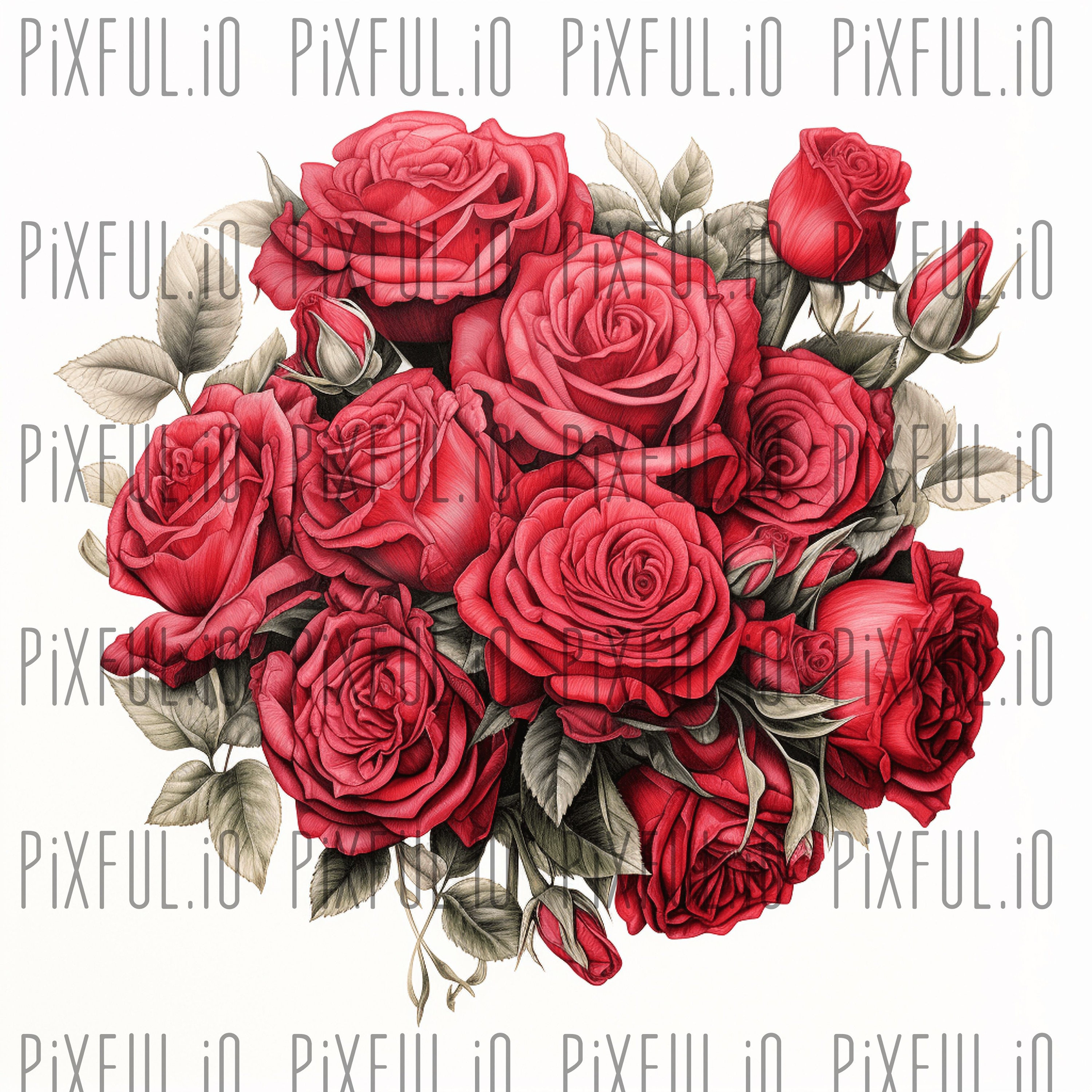 Colored Pencil Drawing of Red Roses Digital Paper 24 Pack - Etsy