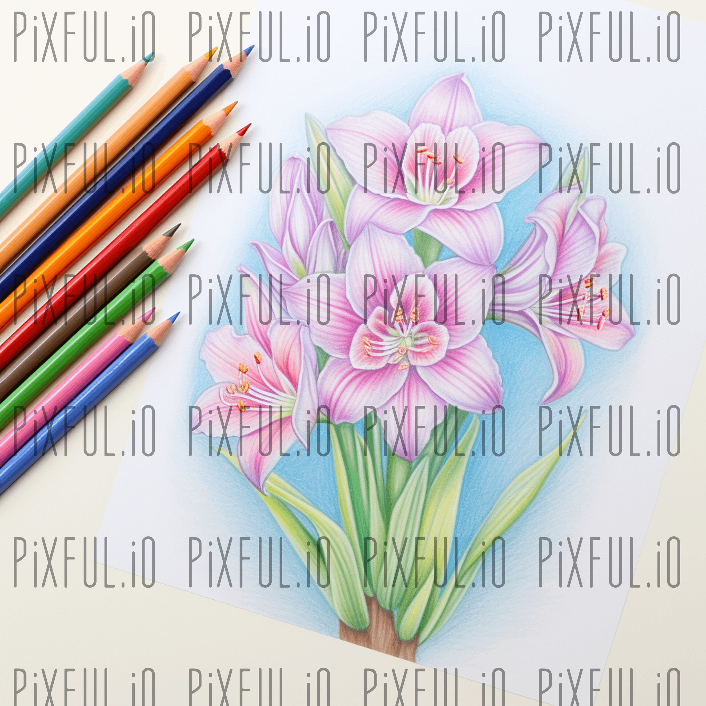 Colored Pencil Drawing of Spring Floral Paper, Digital Patterns 24 Pack ...