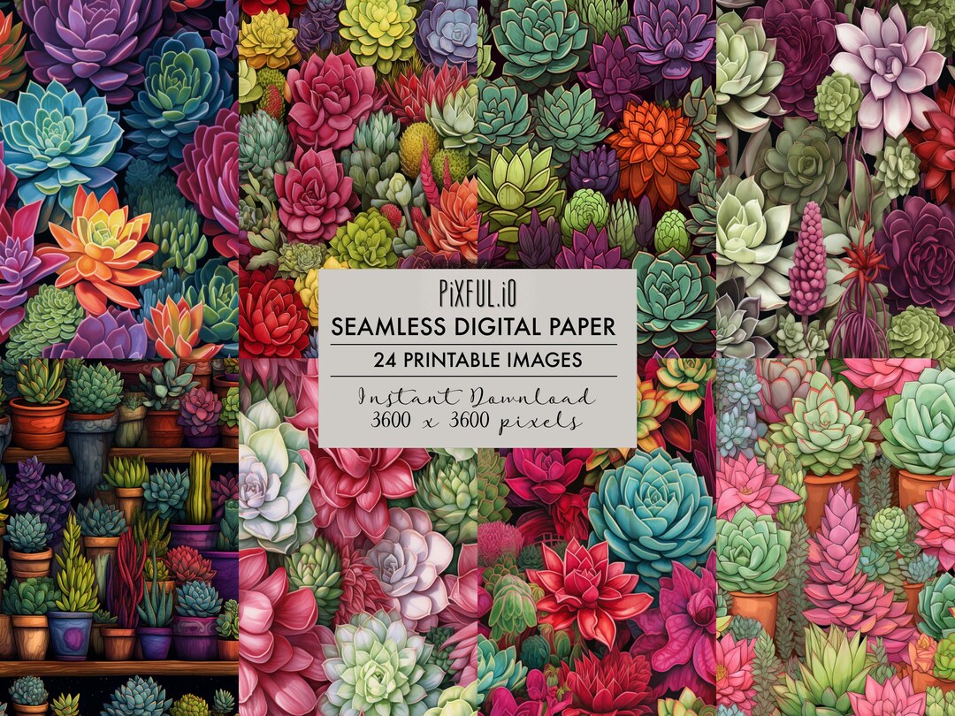 Seamless Colored Pencil Illustration of Succulents Patterns - Etsy