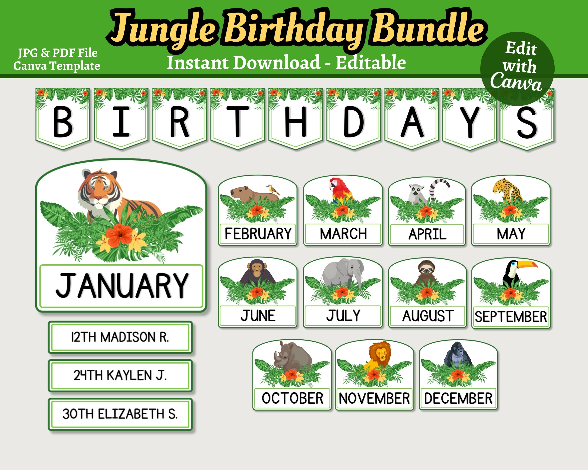 Jungle Animals Birthday Display: Editable Teacher Printable (canva ...