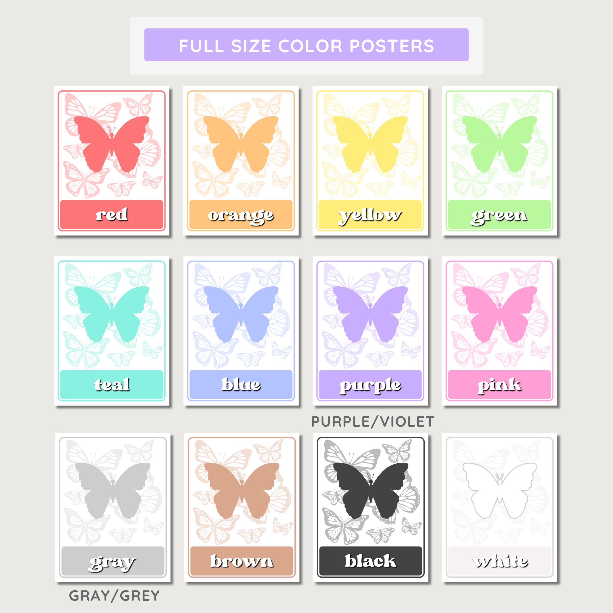 Butterfly Color Posters: Classroom Decor Theme (digital Download) - Etsy