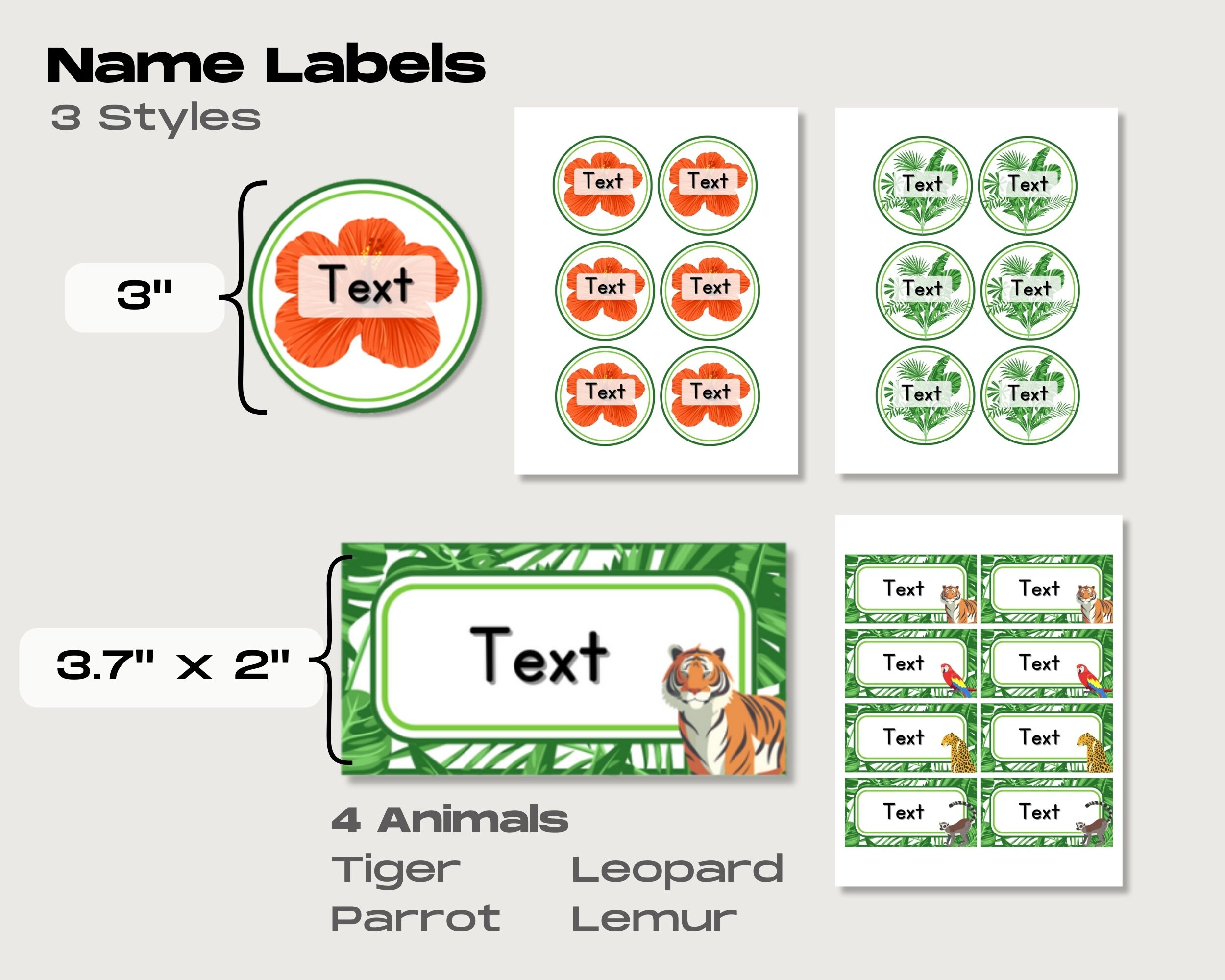 Jungle Welcome Bundle, Welcome Banner & Labels, Editable Teacher ...