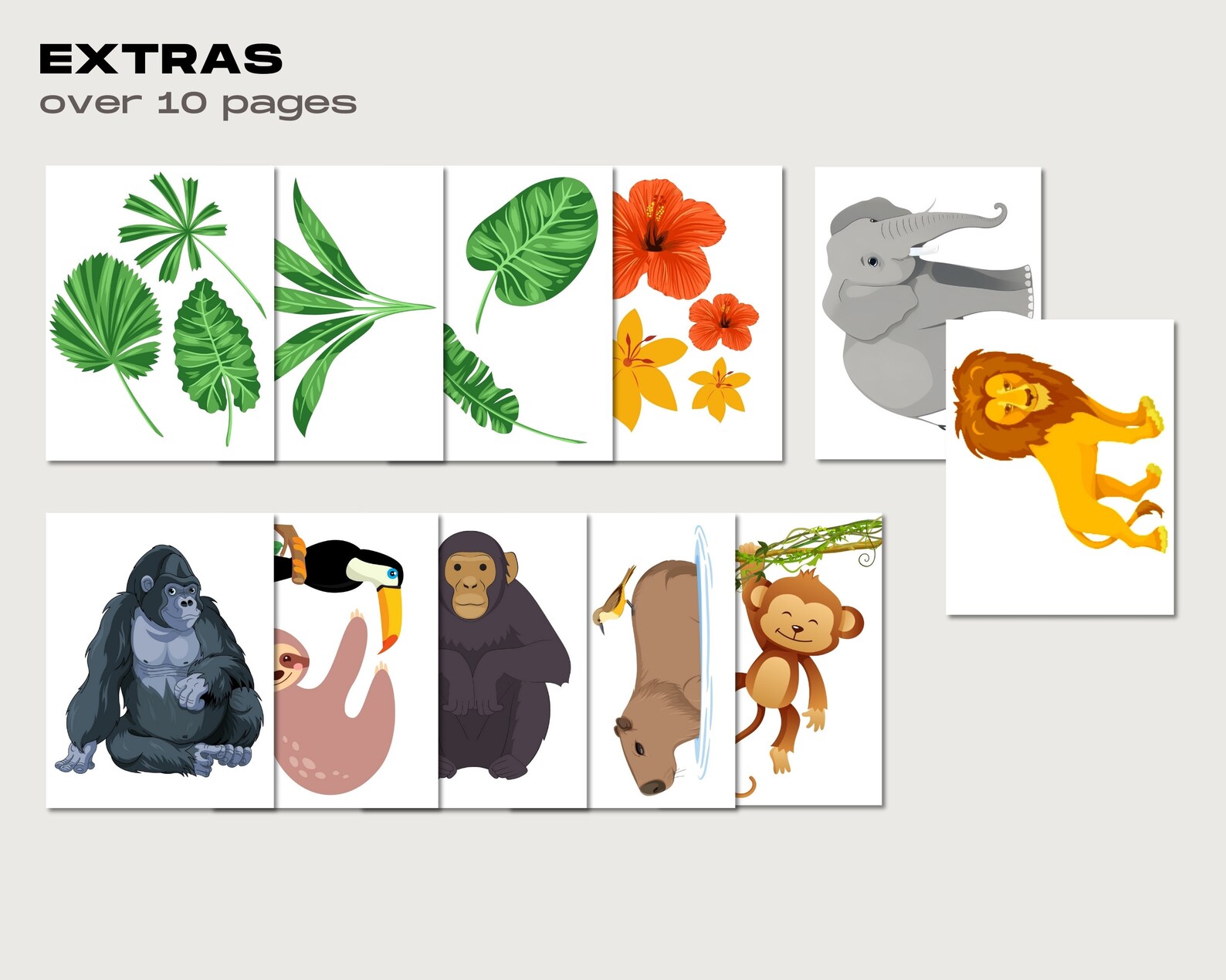 Jungle Bulletin Board Kit, Back to School Bulletin Board, Jungle ...