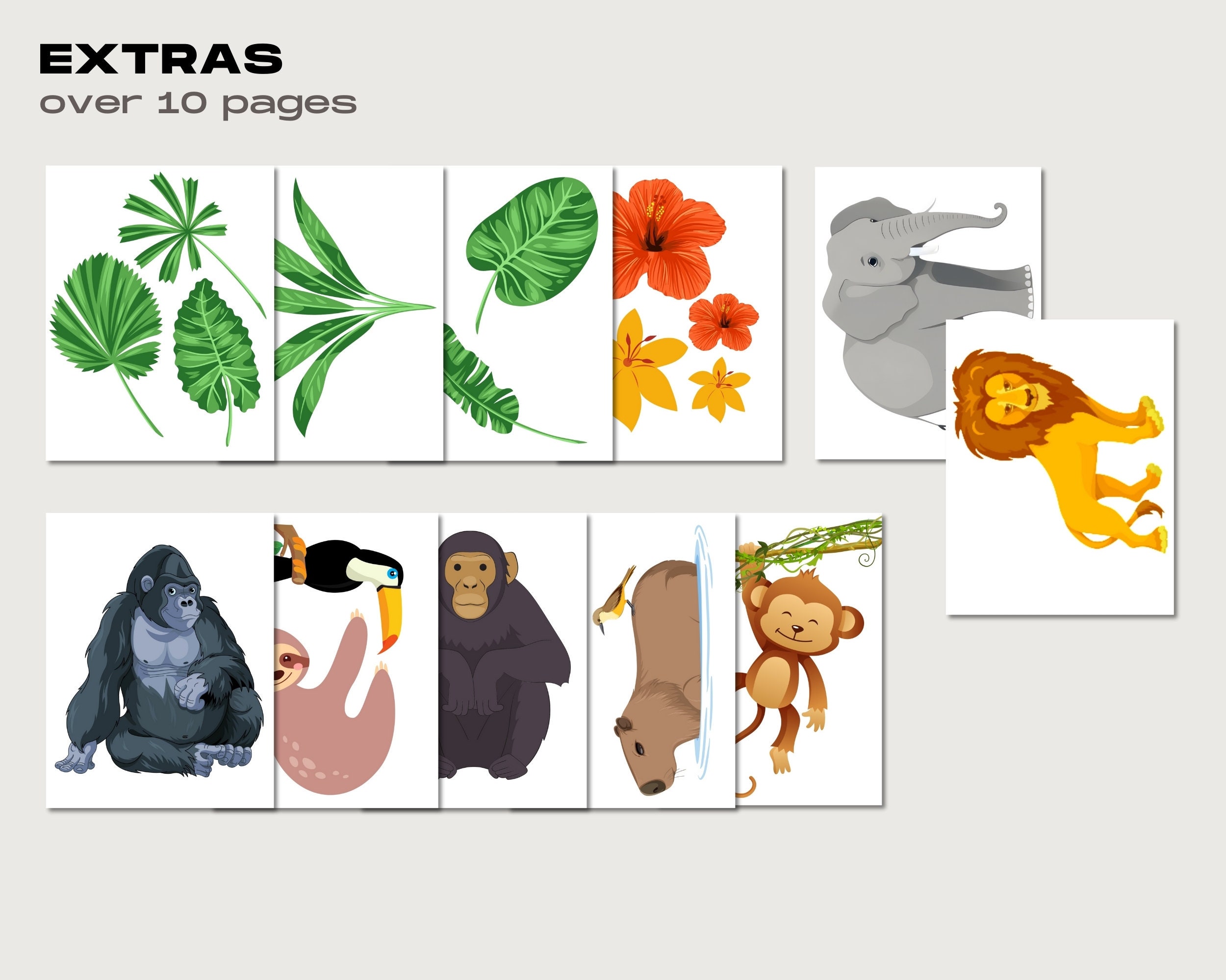 Jungle Bulletin Board Kit, Back to School Bulletin Board, Jungle ...