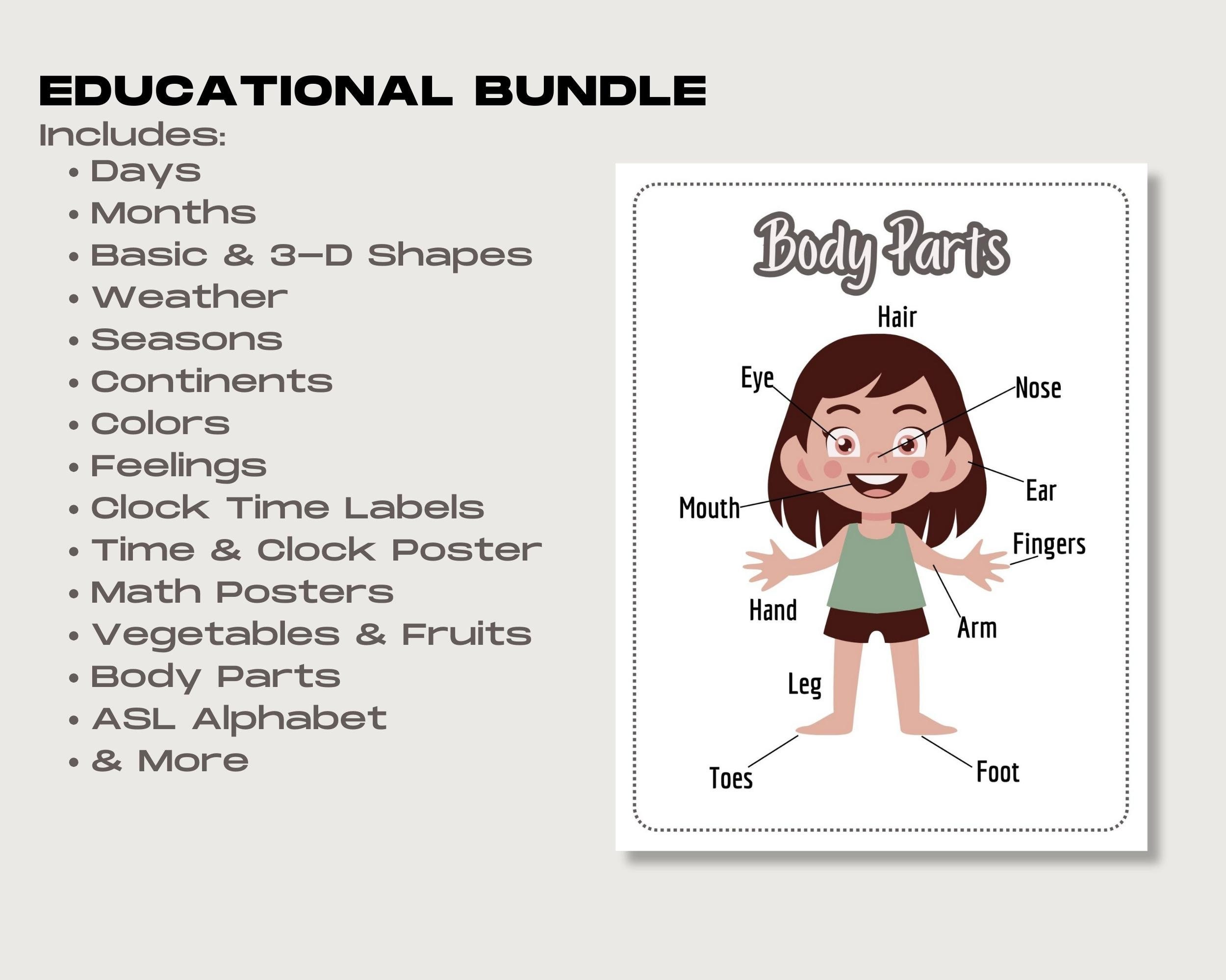 Educational Posters, Editable Canva Template, Boho Elementary Preschool ...