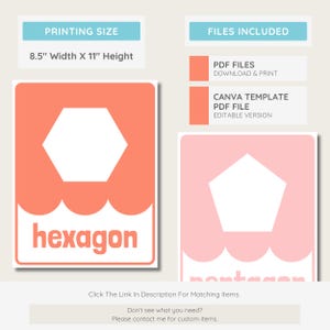 Retro Chicks Shape Classroom Posters, 2-D 3-D Shape Prints, Printable ...