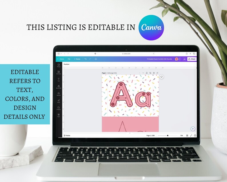 Rainbow Wildflower Classroom Decor Bundle, Editable Classroom Decorator ...