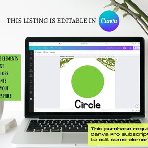 Jungle Shape Posters, Editable 2-D & 3-D Shapes Printables, Basic ...