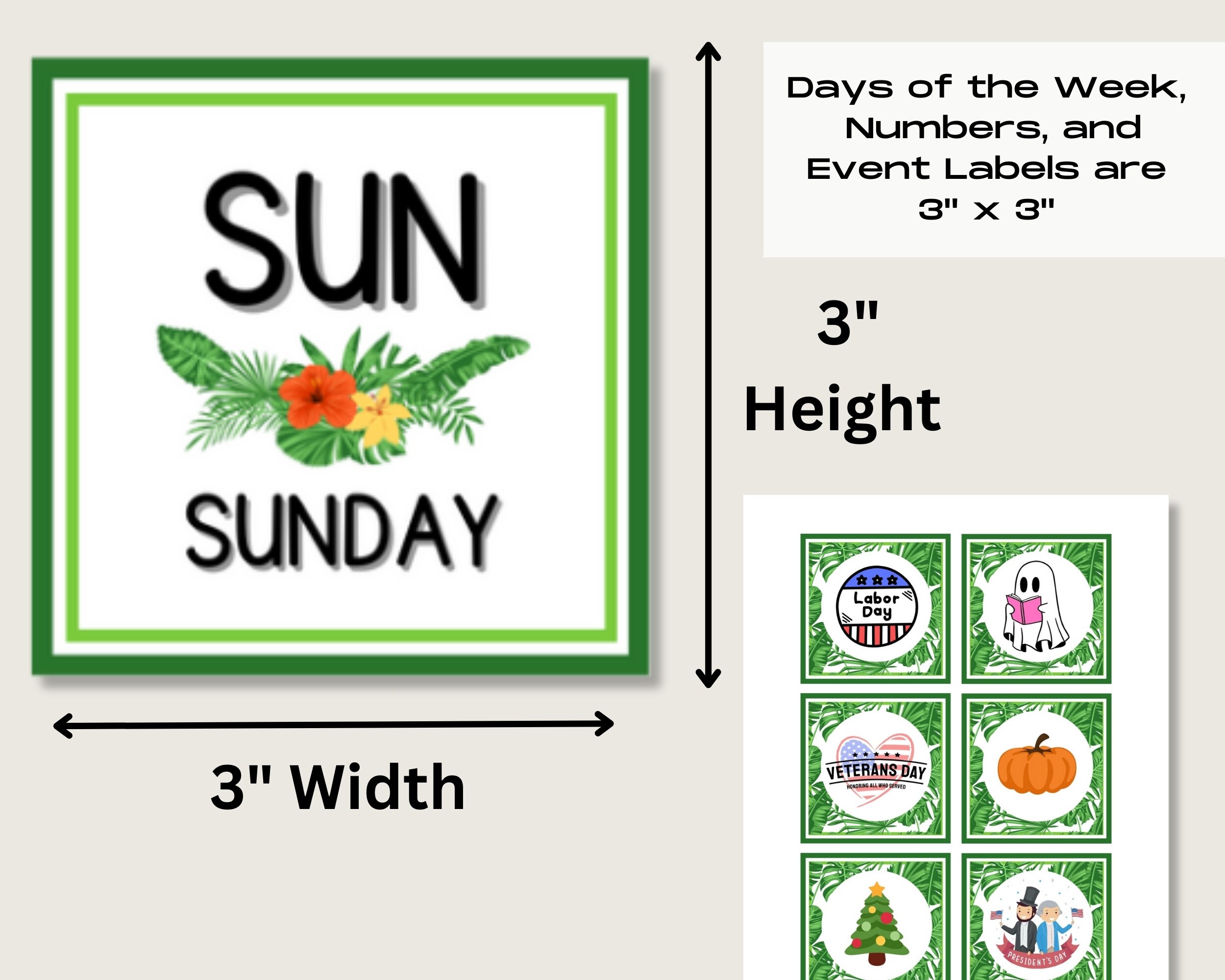 Jungle Calendar Bundle: Editable Classroom Decor (canva Template) - Etsy