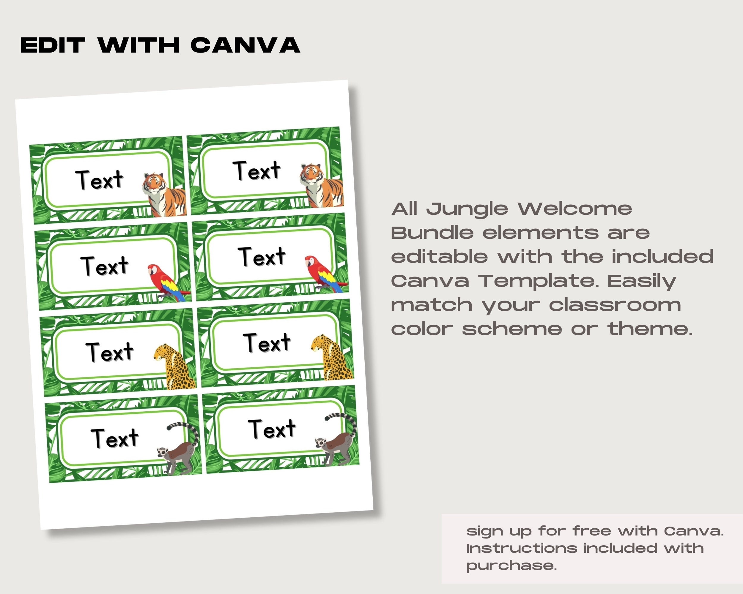 Jungle Welcome Bundle, Welcome Banner & Labels, Editable Teacher ...