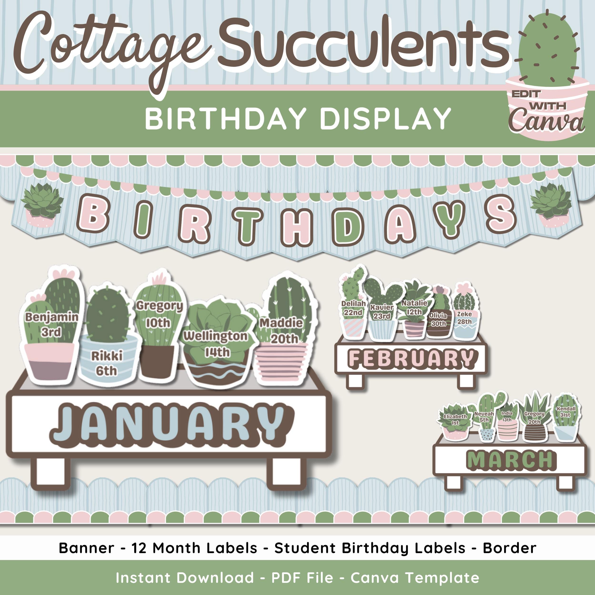 Succulent Birthday Classroom Decor Kit: Editable Printable Display ...