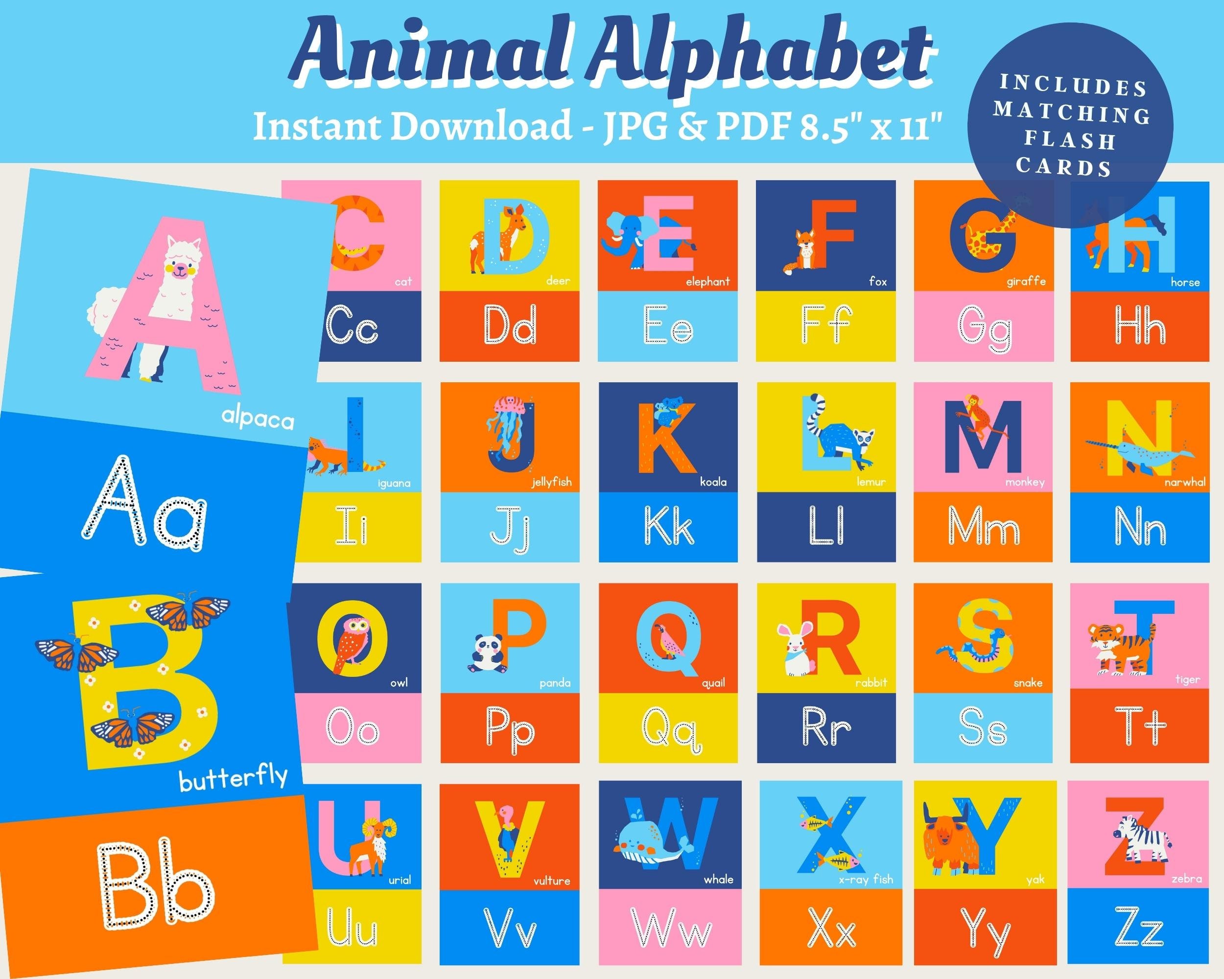 Pre-k Toddler Animal Alphabet Flash Cards, 26 Bright Animal Alphabet ...