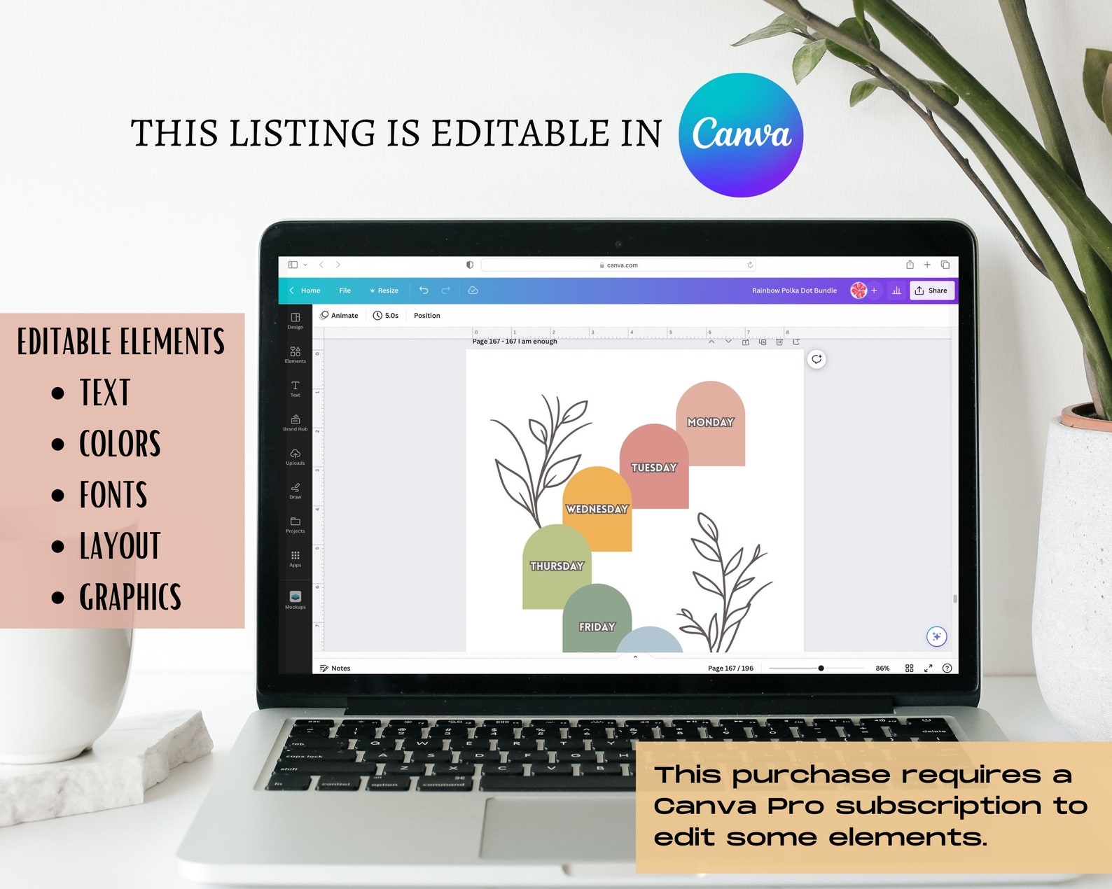 Educational Posters, Editable Canva Template, Boho Elementary Preschool ...