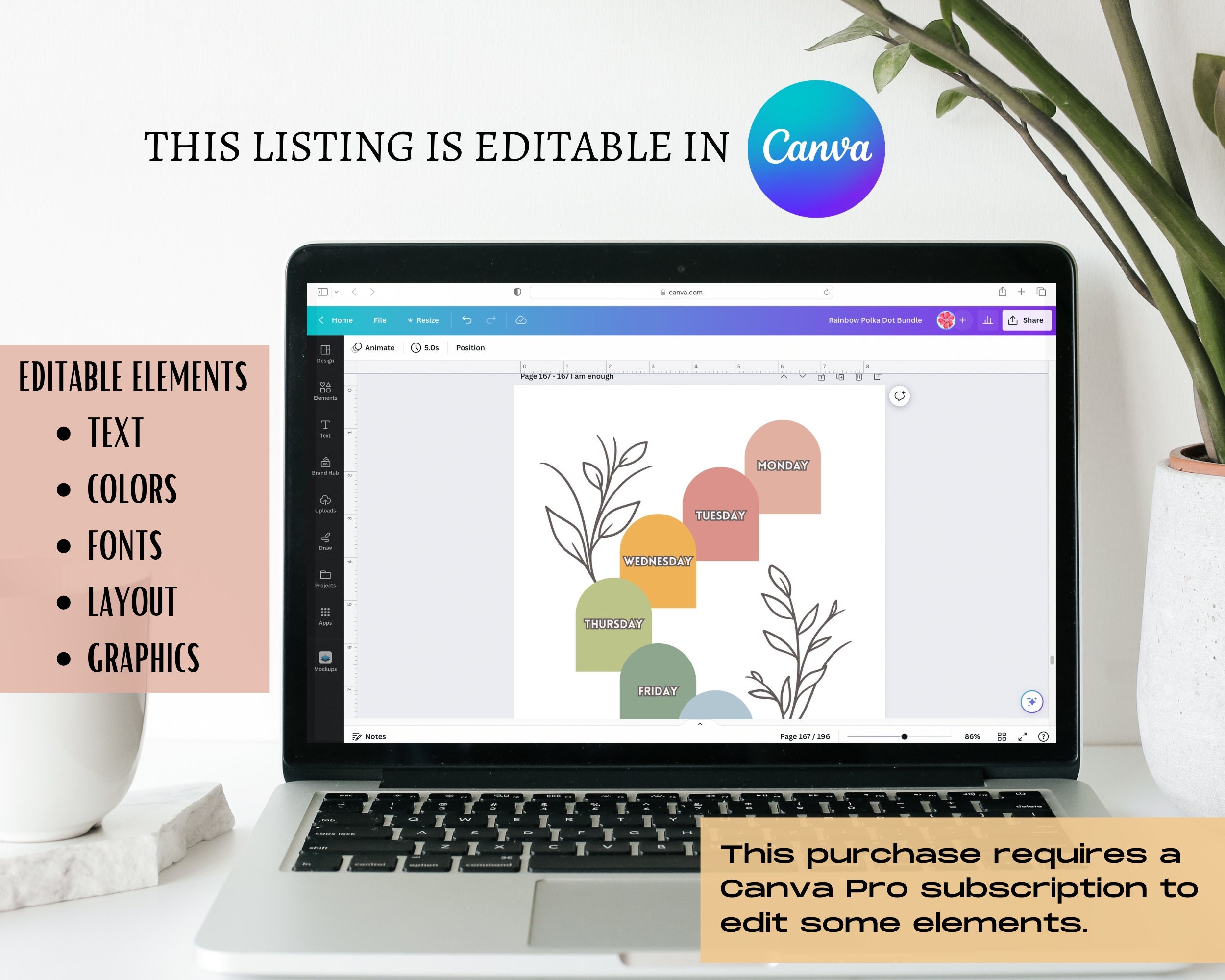 Educational Posters, Editable Canva Template, Boho Elementary Preschool ...