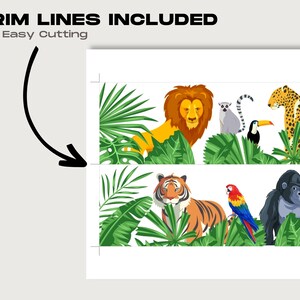 Jungle Bulletin Board Borders: Editable Teacher Resource (canva ...
